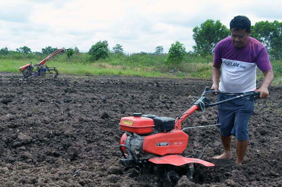 Restorasi Gambut dengan Flora Lokal