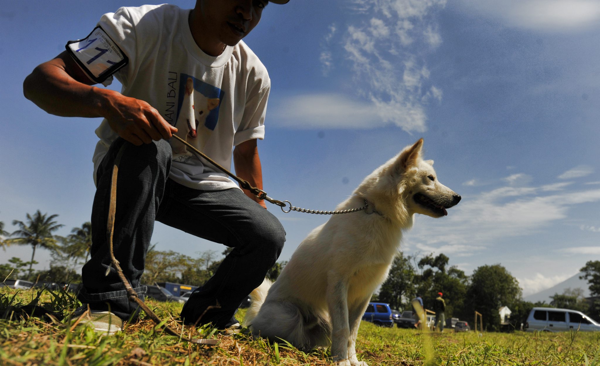 Indonesia Kini Miliki Ras Anjing yang Diakui Dunia