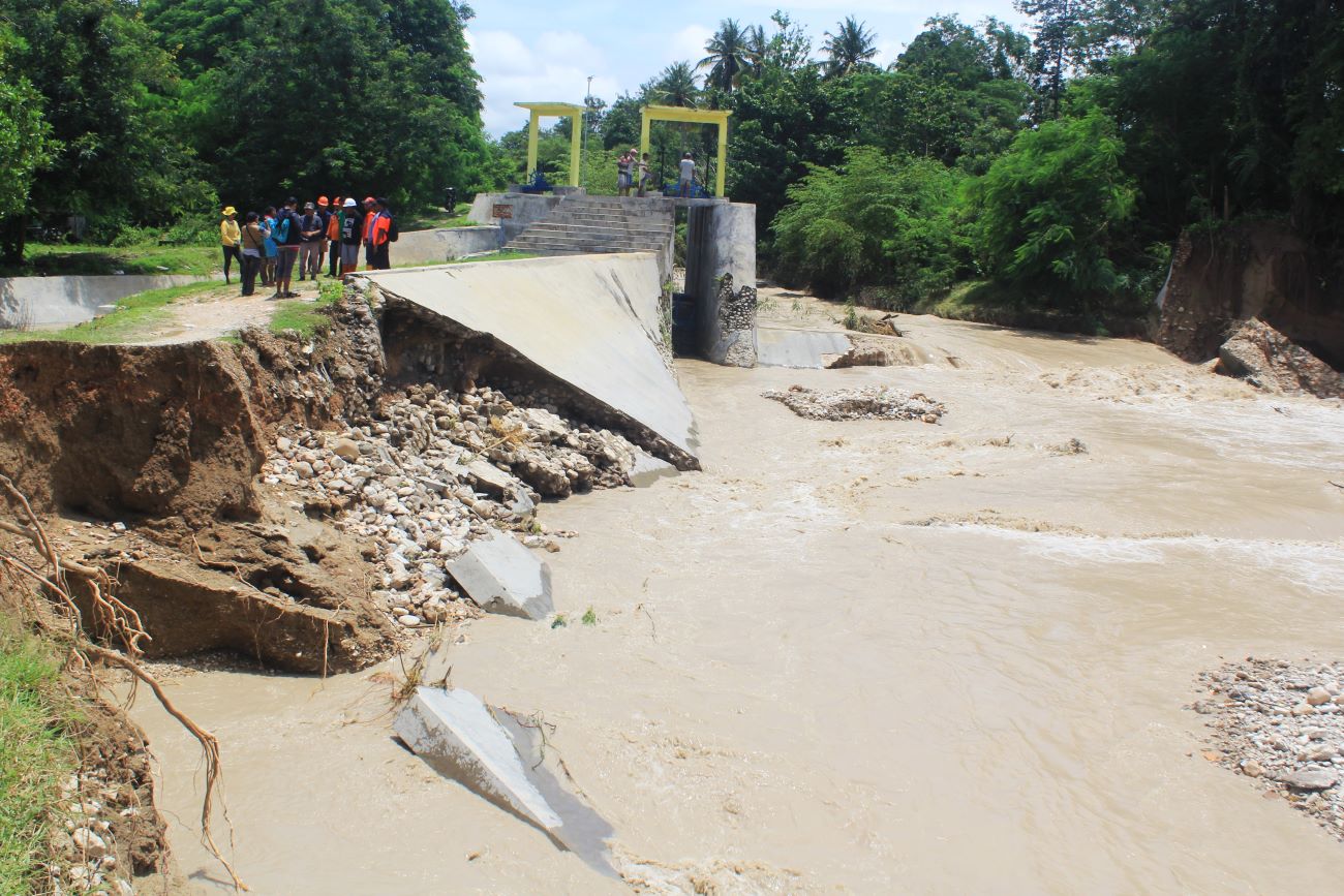 Bendungan Oesao Jebol, Ribuan Hektare Sawah Terancam Gagal Panen