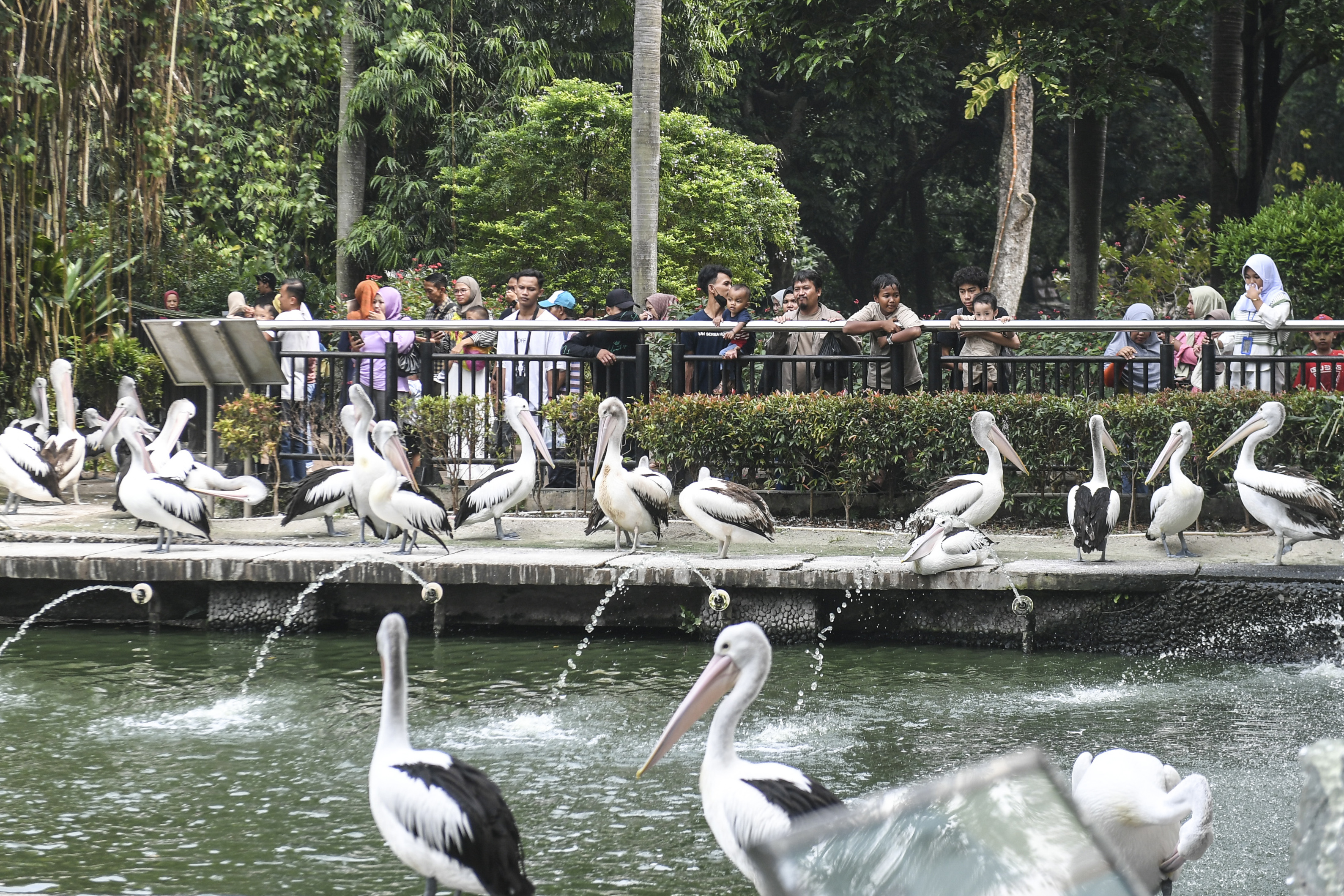 Libur Cuti Bersama Idul Adha di Ragunan