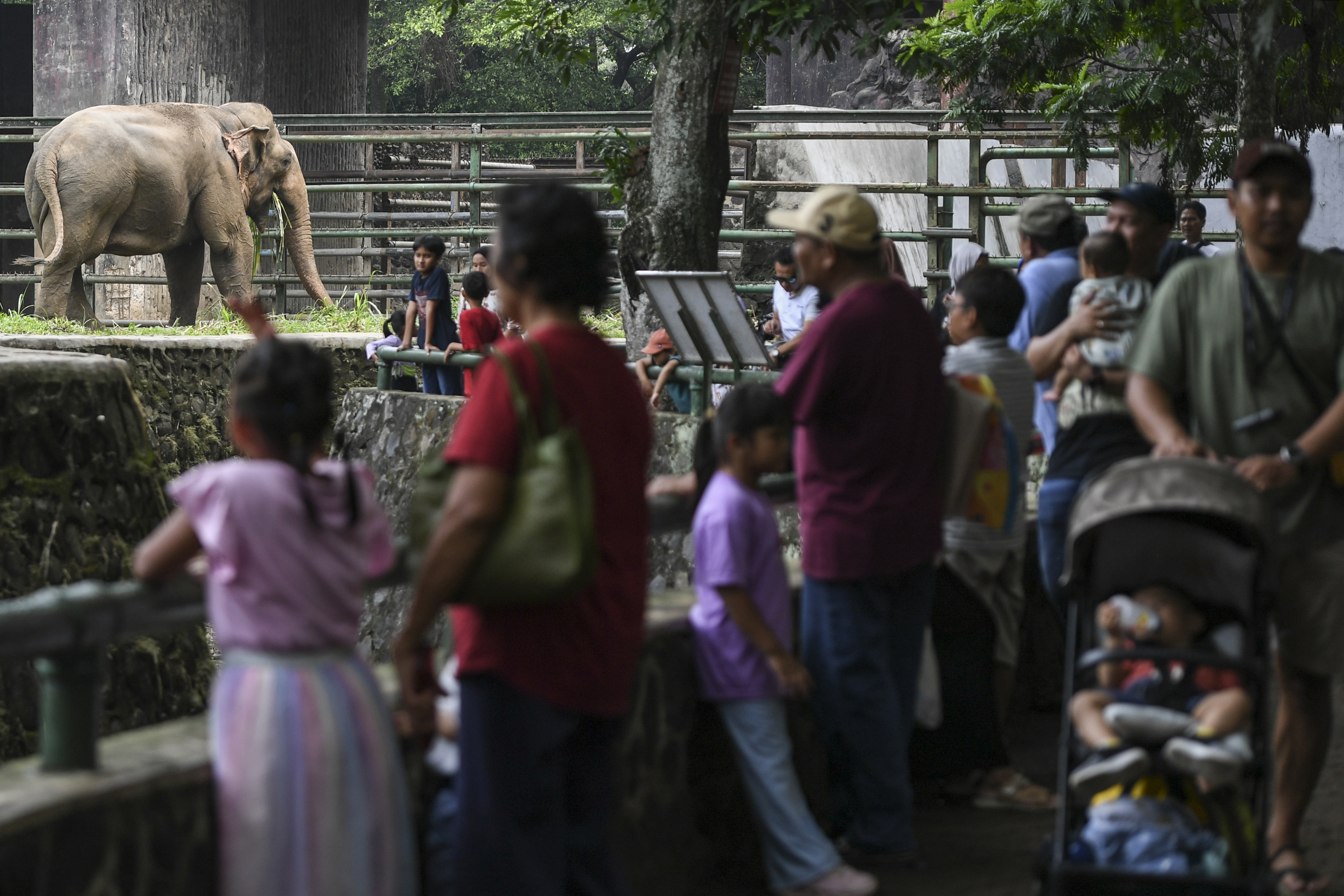 Libur Cuti Bersama Idul Adha di Ragunan