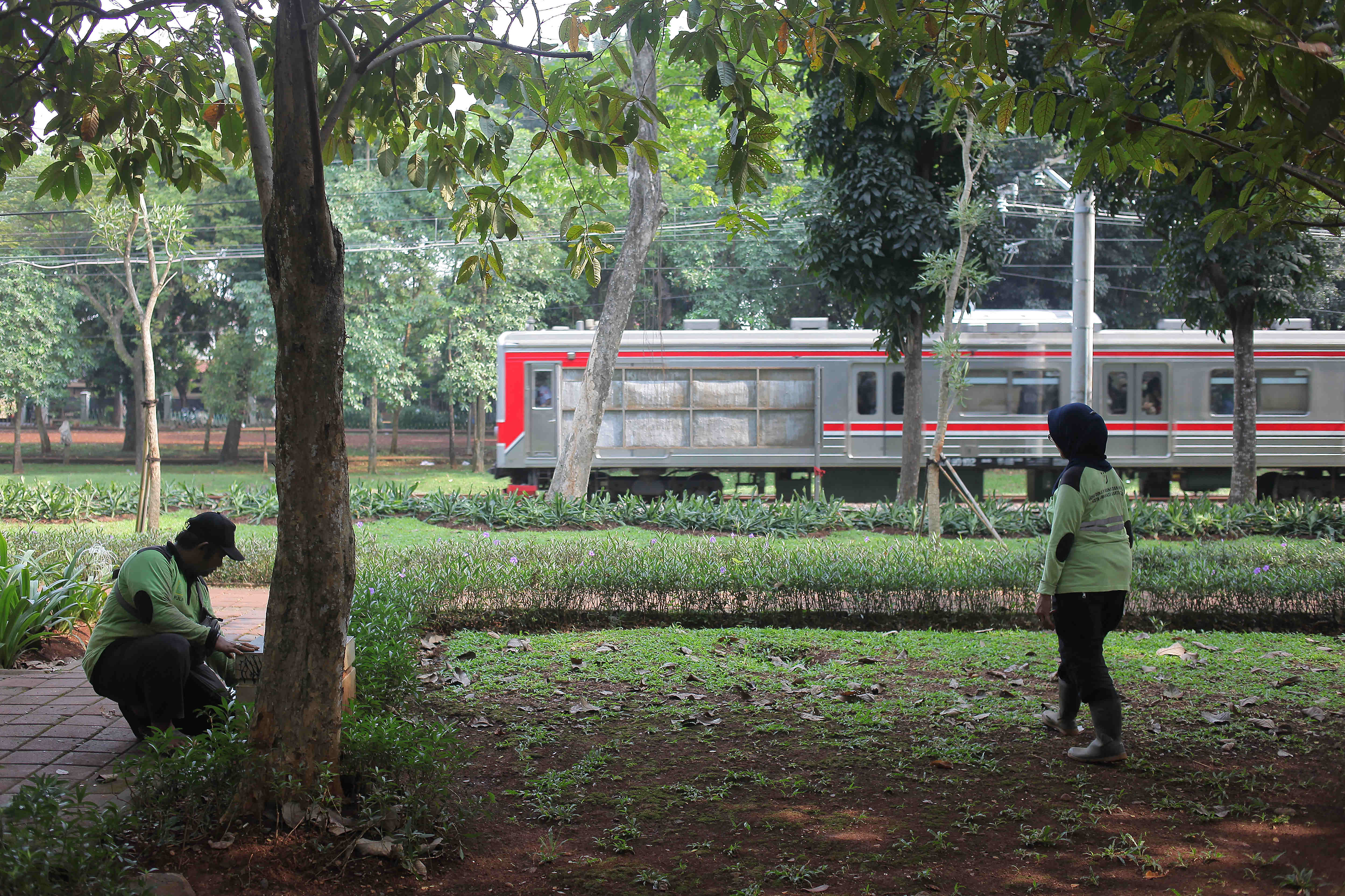 Upaya Perluasan RTH Jakarta